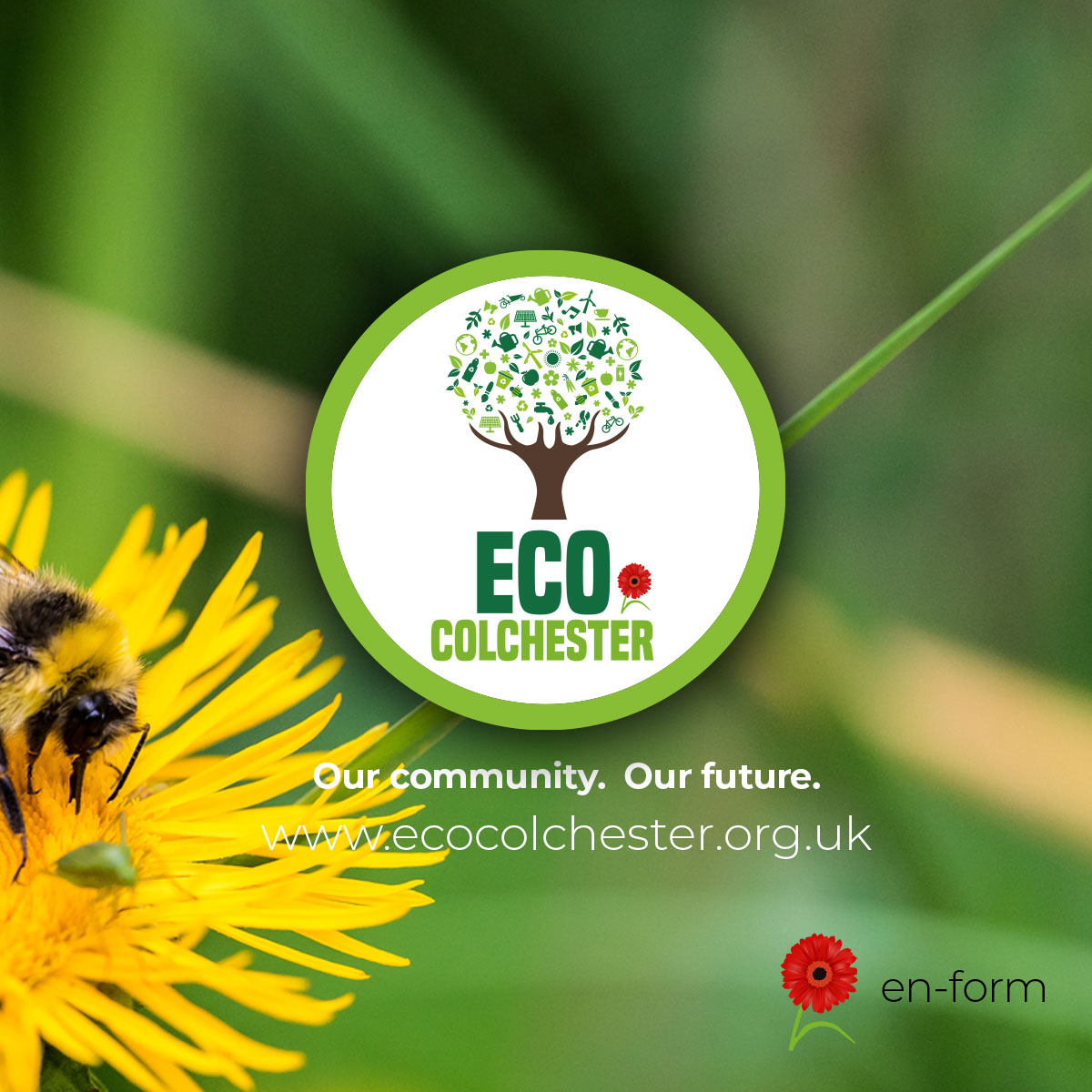 Eco Colchester Website Launched - en-form